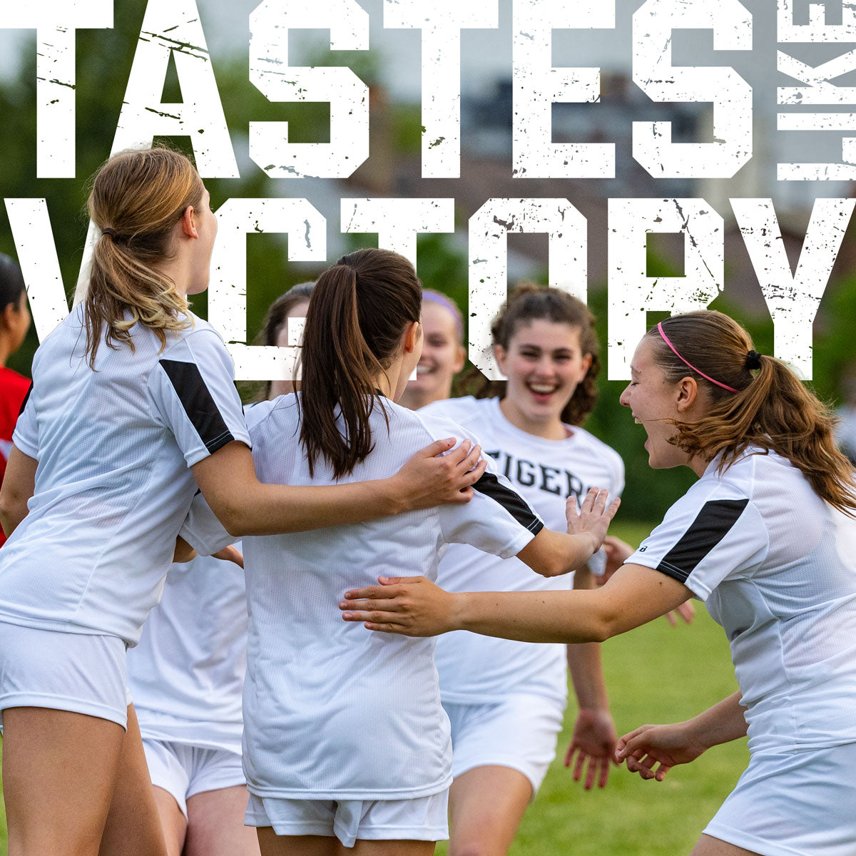 100% Whey Protein Plus - Frosted Flakes - SIXSTAR